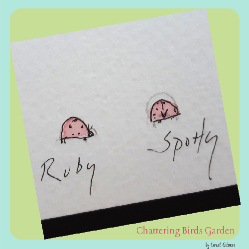 Ruby and Spotty the Ladybugs - A Fanciful Garden With Cute Birds That ...
